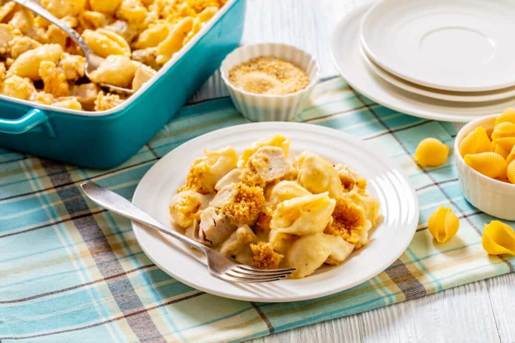 Creamy Chicken & Shells Bake - Hey Recipe